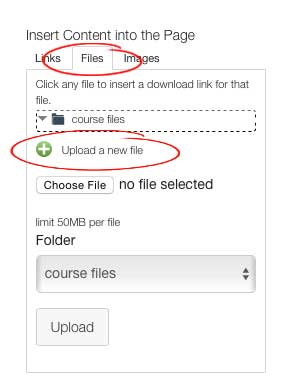 Faculty Syllabus Upload | Community College of Philadelphia
